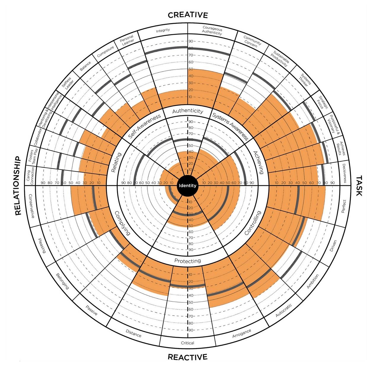 Understanding Leadership Patterns with The Leadership Circle | The ...